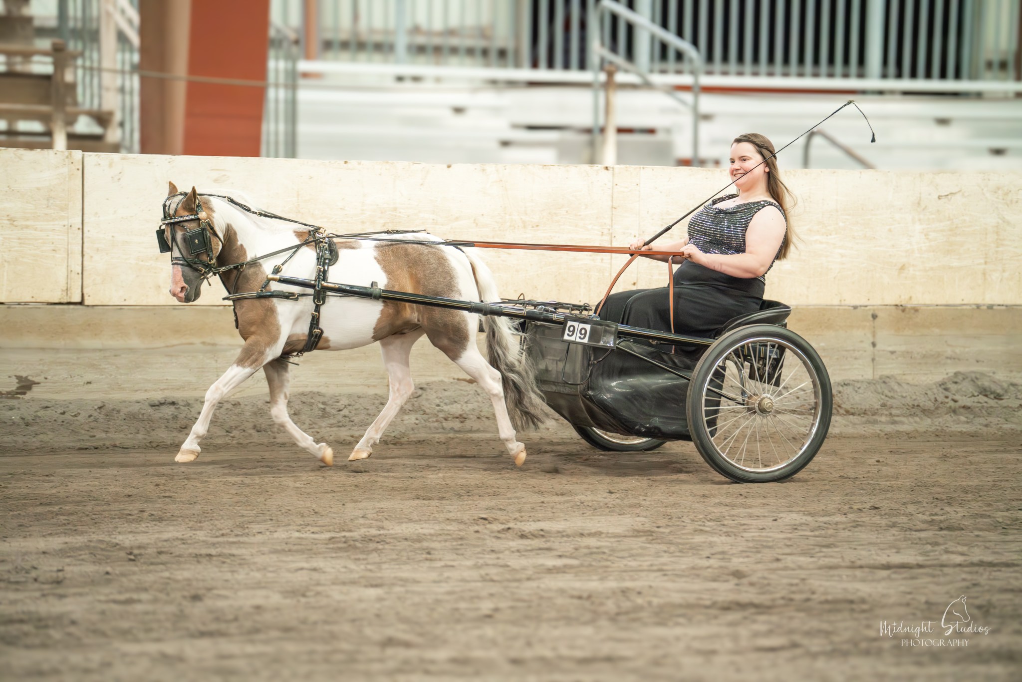 Show Season 2025 – Aerial Performance Horses